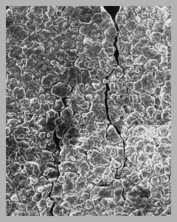 Failure Analysis | GSCSG | Boston MA